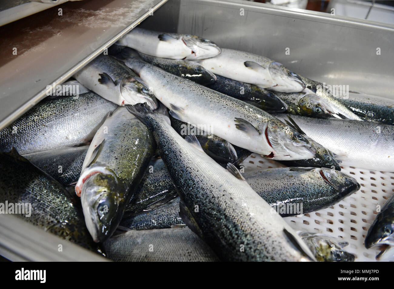 Gutted factory hi-res stock photography and images - Alamy