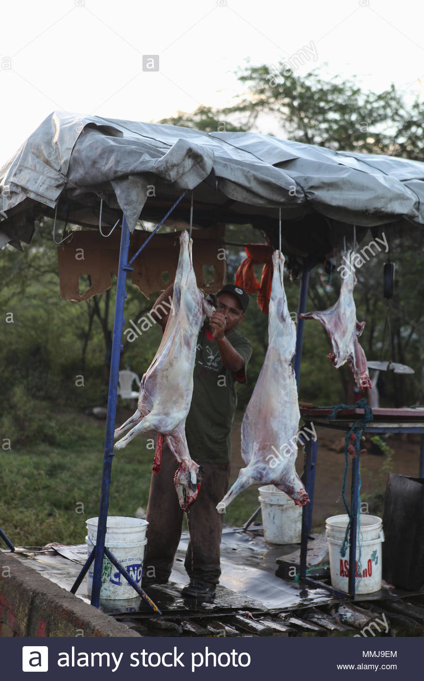 Butchering Goat Stock Photos & Butchering Goat Stock Images - Alamy