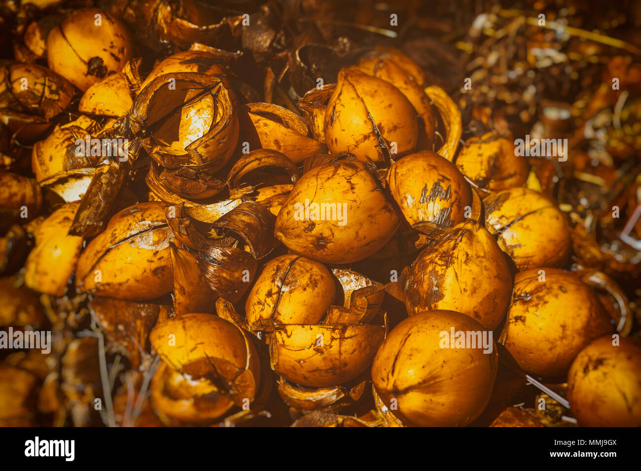 Empty coconut shell hi-res stock photography and images - Alamy