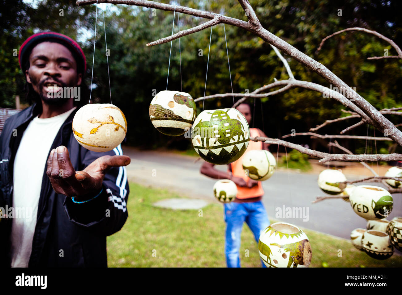 Shells africa hi-res stock photography and images - Alamy