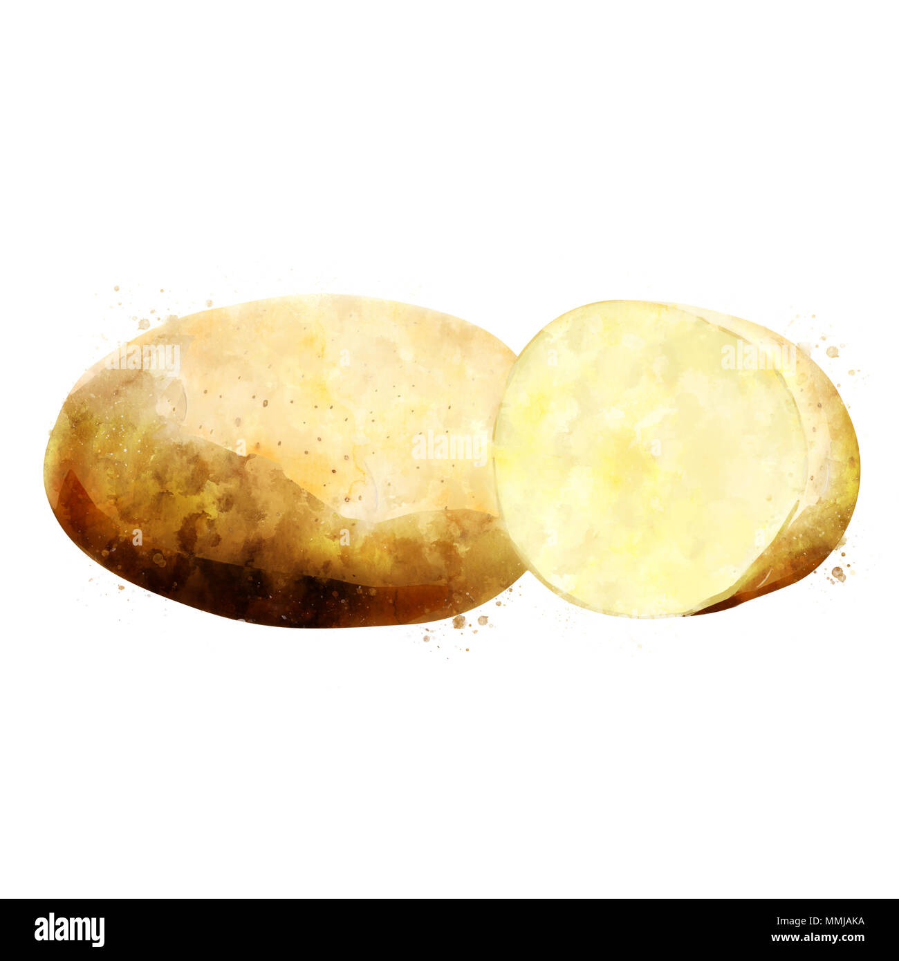 Potato, isolated illustration on a white background Stock Photo - Alamy