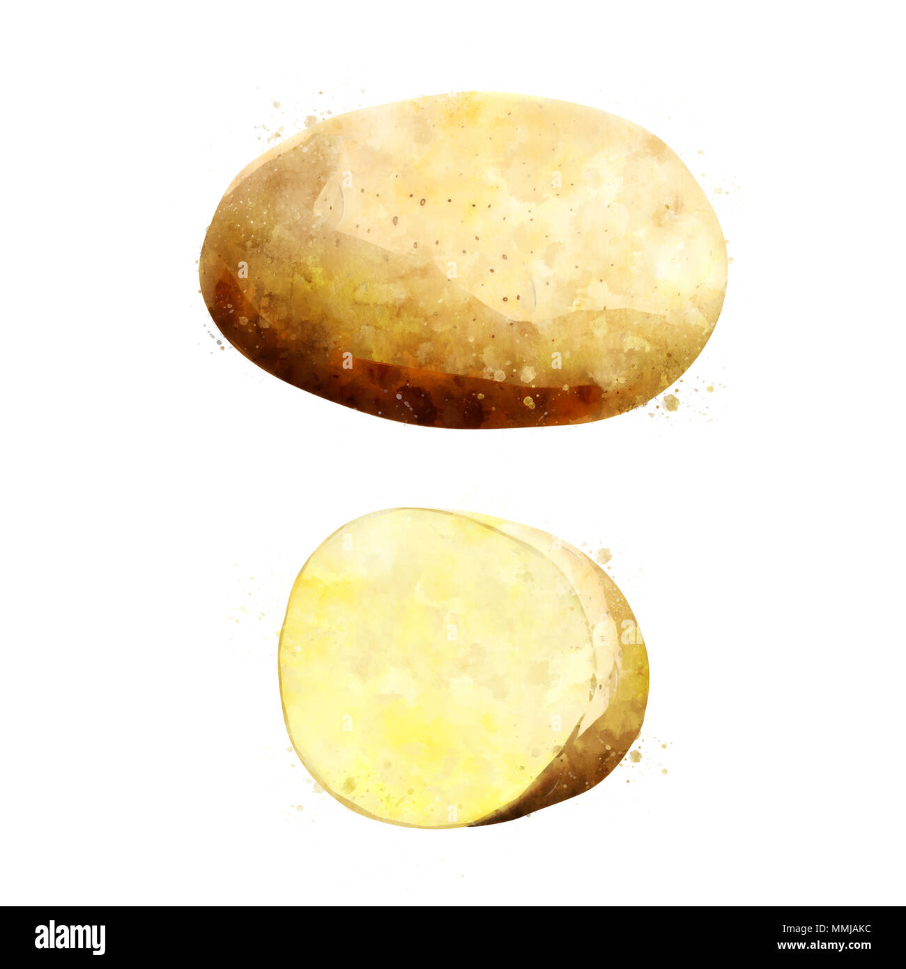 Potato, isolated illustration on a white background Stock Photo - Alamy