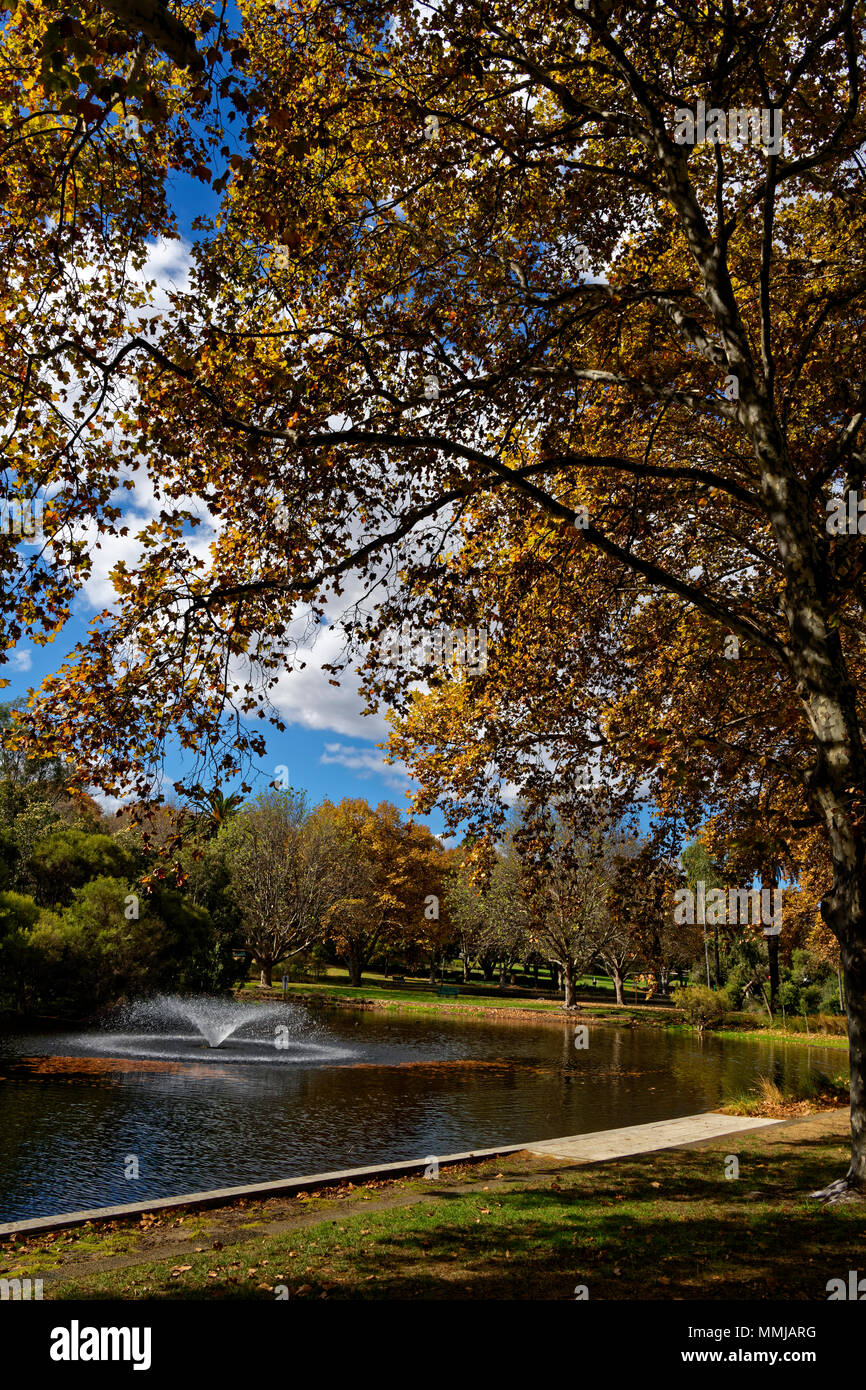 Autumn in Australia Stock Photo - Alamy
