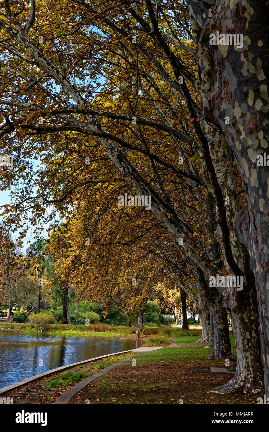 Australian formal parks hi-res stock photography and images - Alamy