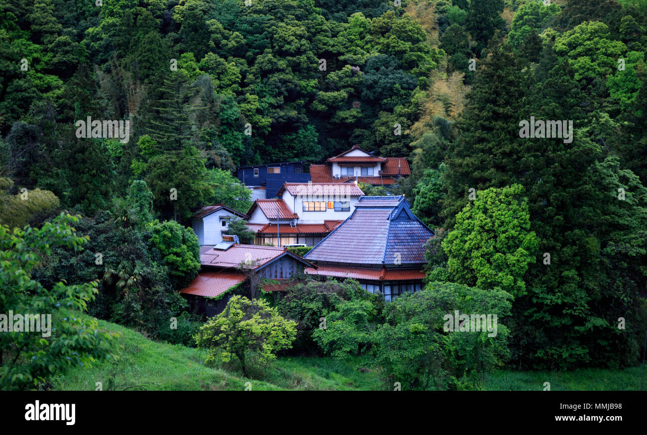 Large Japanese house surrounded by lush green forest on the ...
