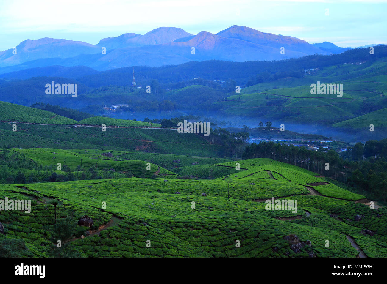 Munnar udumalpet road hi-res stock photography and images - Alamy