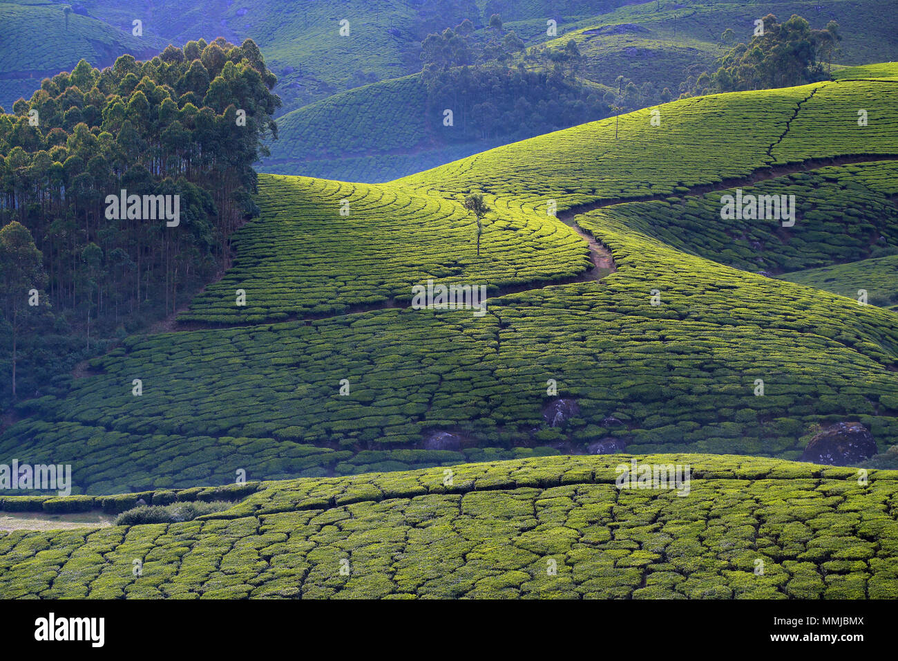 Munnar top station highway hi-res stock photography and images - Alamy