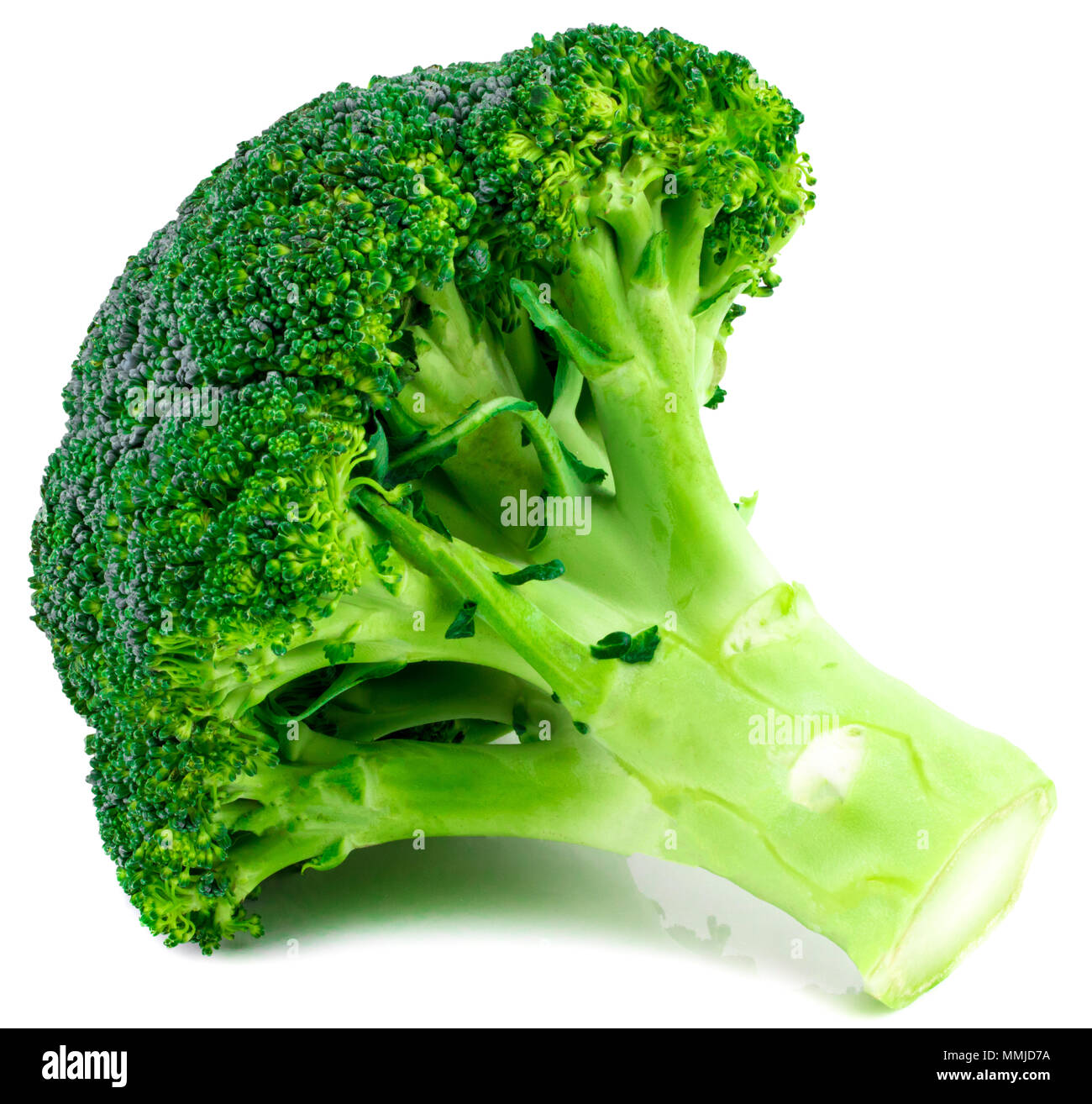 Fresh broccoli isolated on white background. With clipping path. Full ...