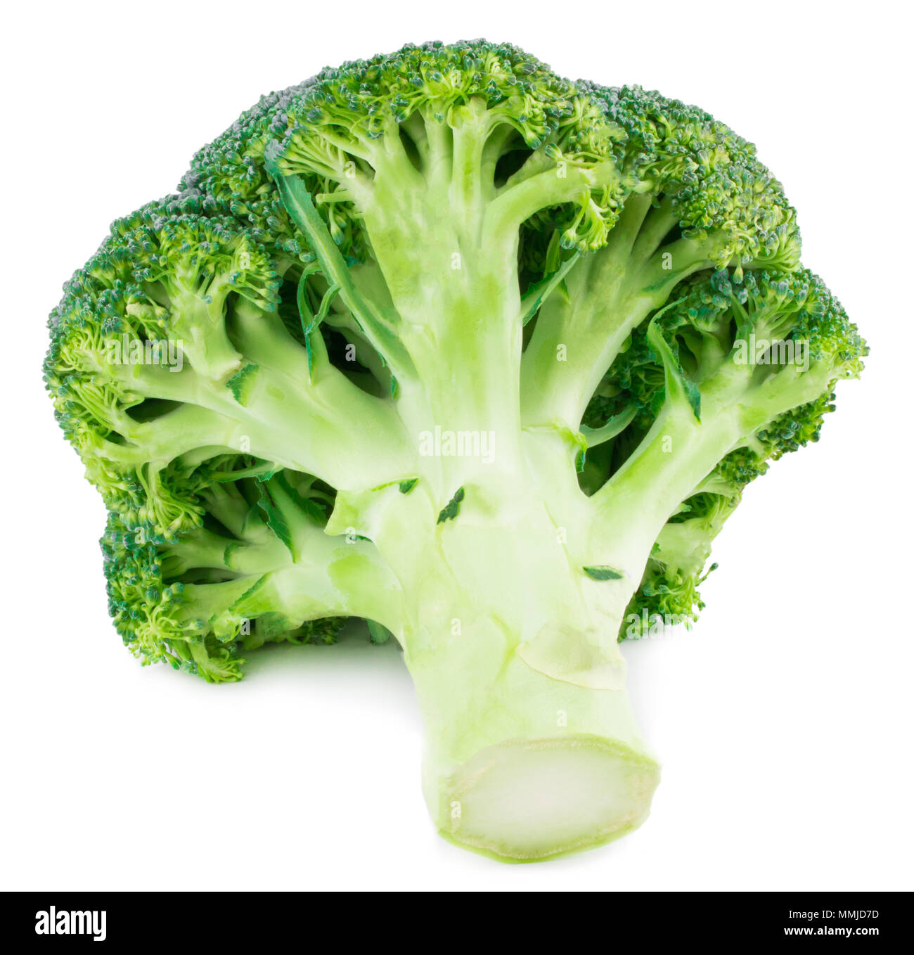 Fresh broccoli isolated on white background. With clipping path. Full ...