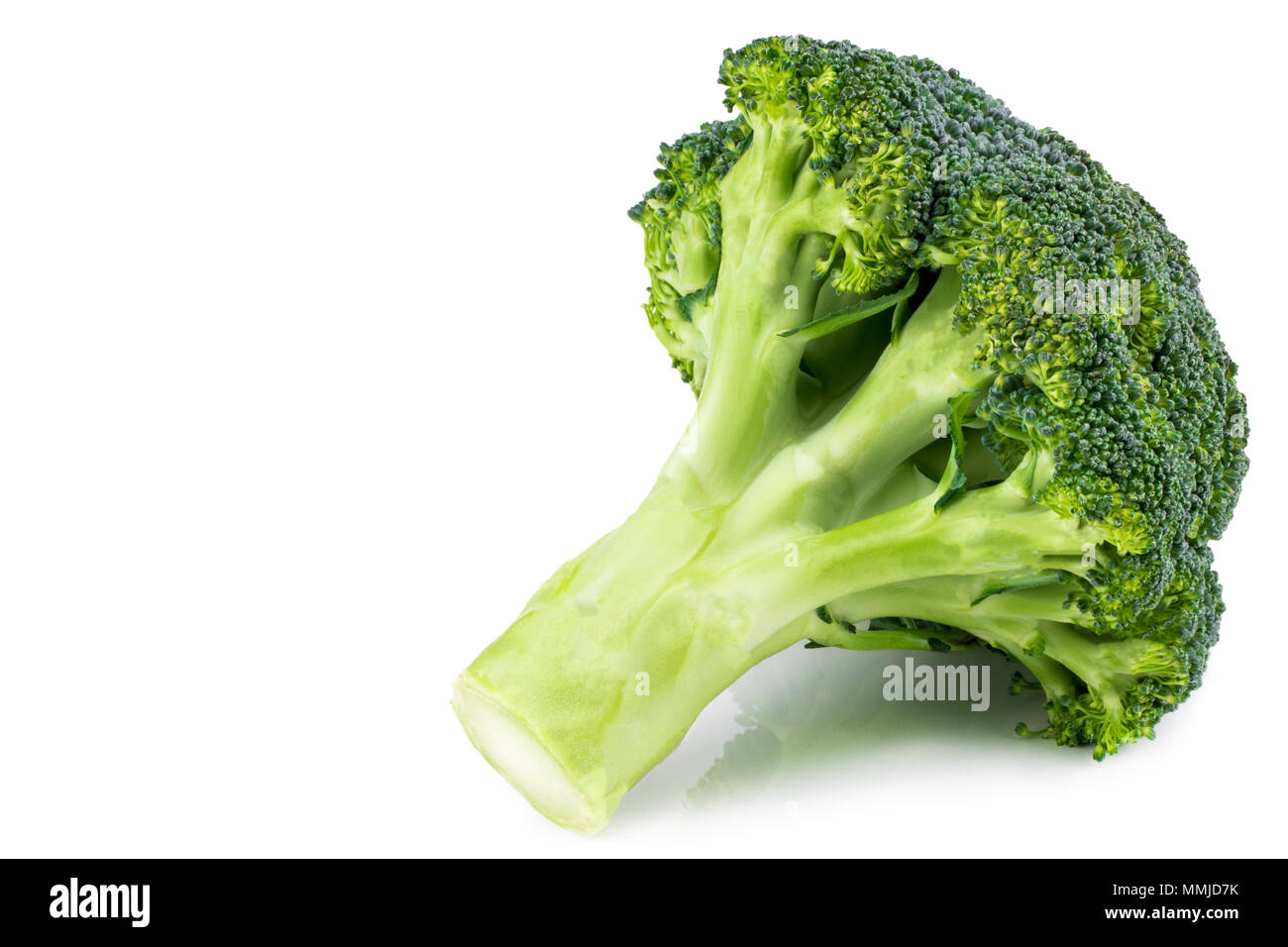 Fresh broccoli isolated on white background. With clipping path. Full ...