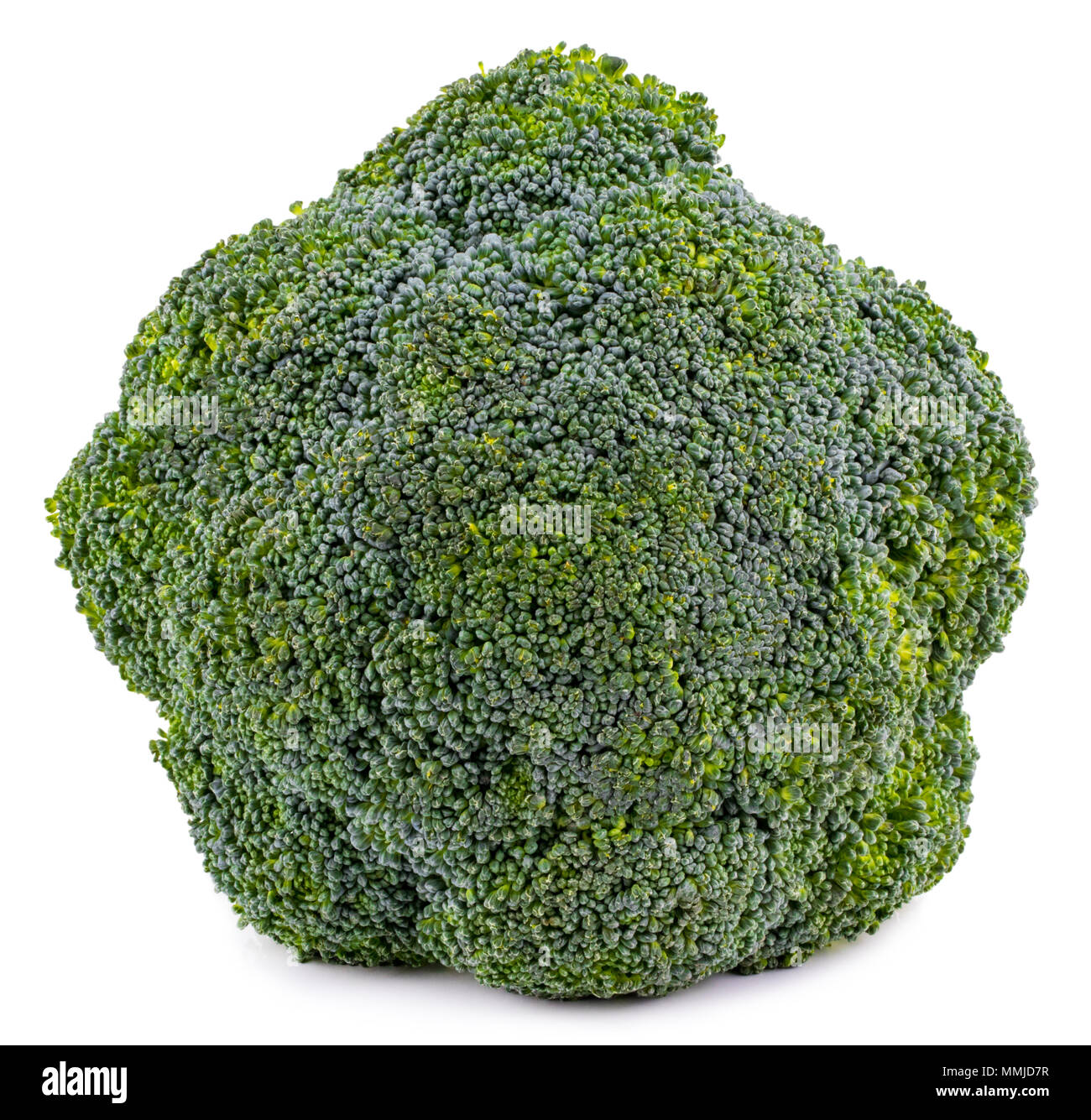 Fresh broccoli isolated on white background. With clipping path. Full ...
