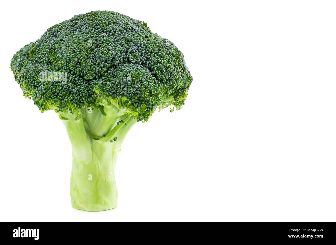 Fresh broccoli isolated on white background. With clipping path. Full ...