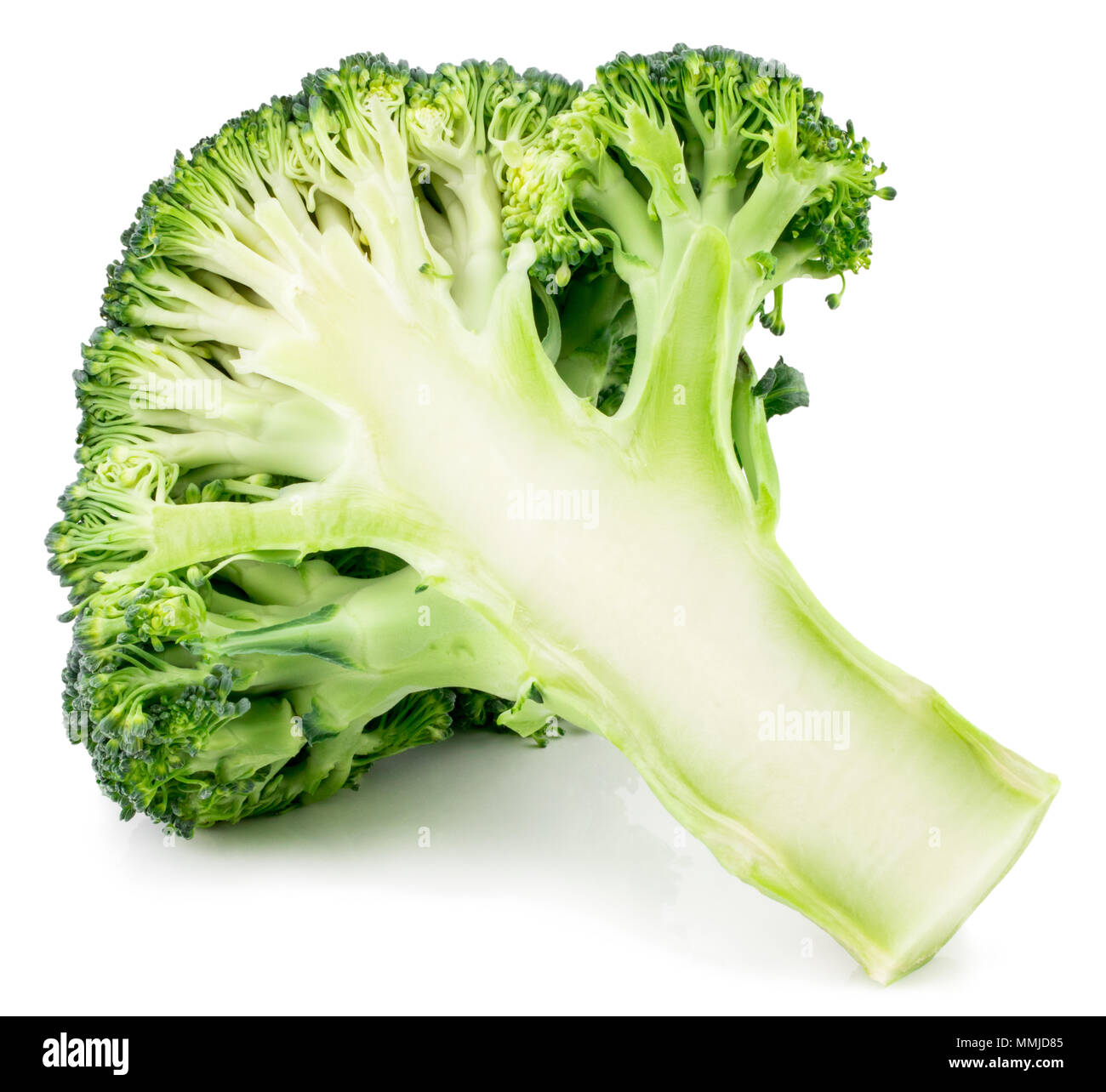 Fresh broccoli isolated on white background. With clipping path. Full ...
