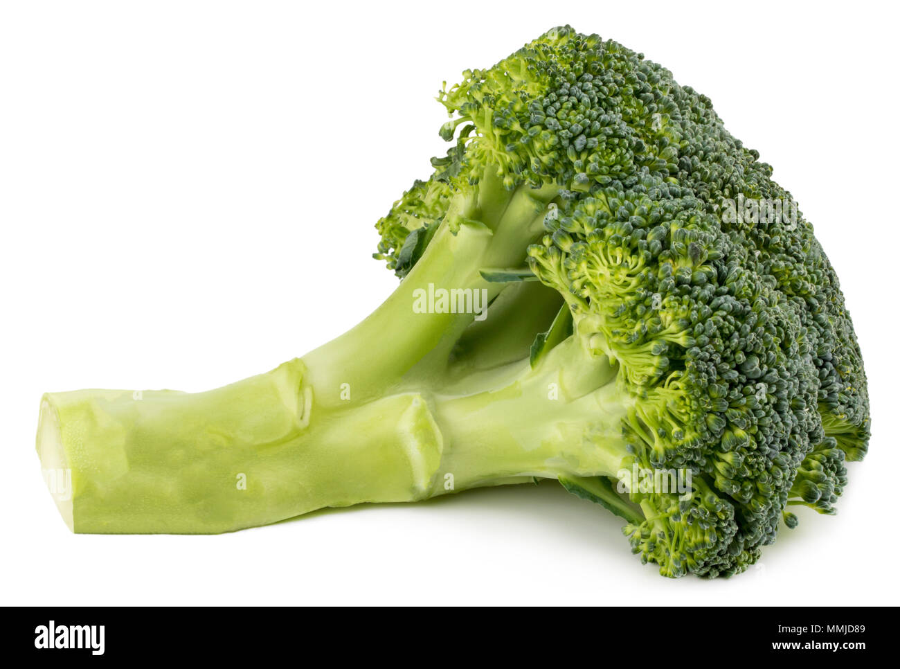 Fresh broccoli isolated on white background. With clipping path. Full ...