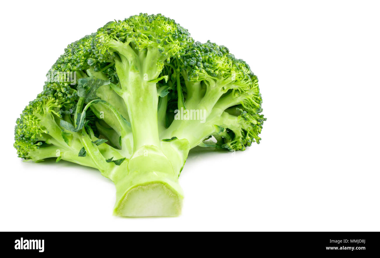 Fresh broccoli isolated on white background. With clipping path. Full ...