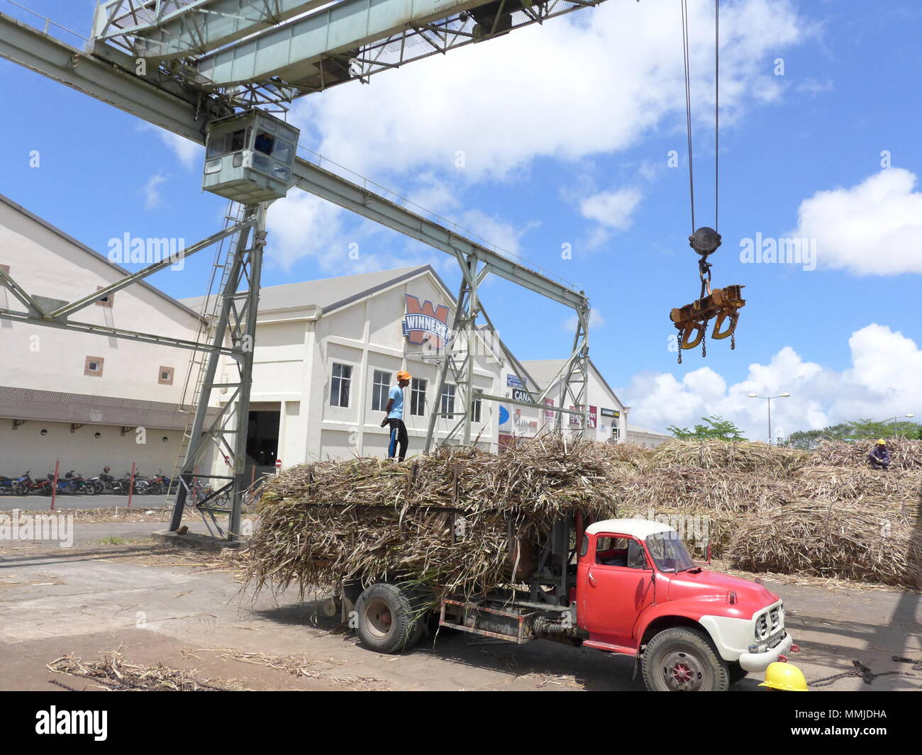 Mare tabac hi-res stock photography and images - Alamy
