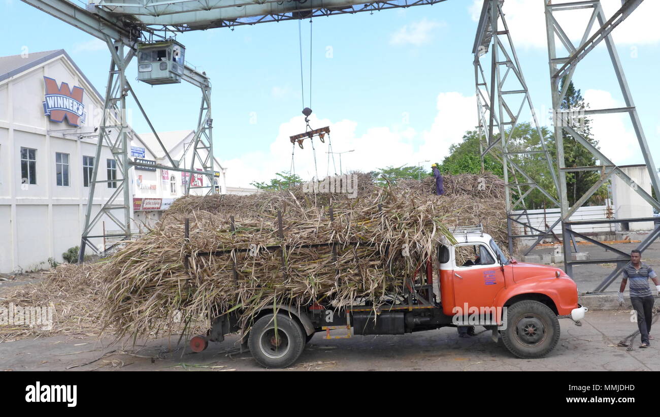 Mare tabac hi-res stock photography and images - Alamy