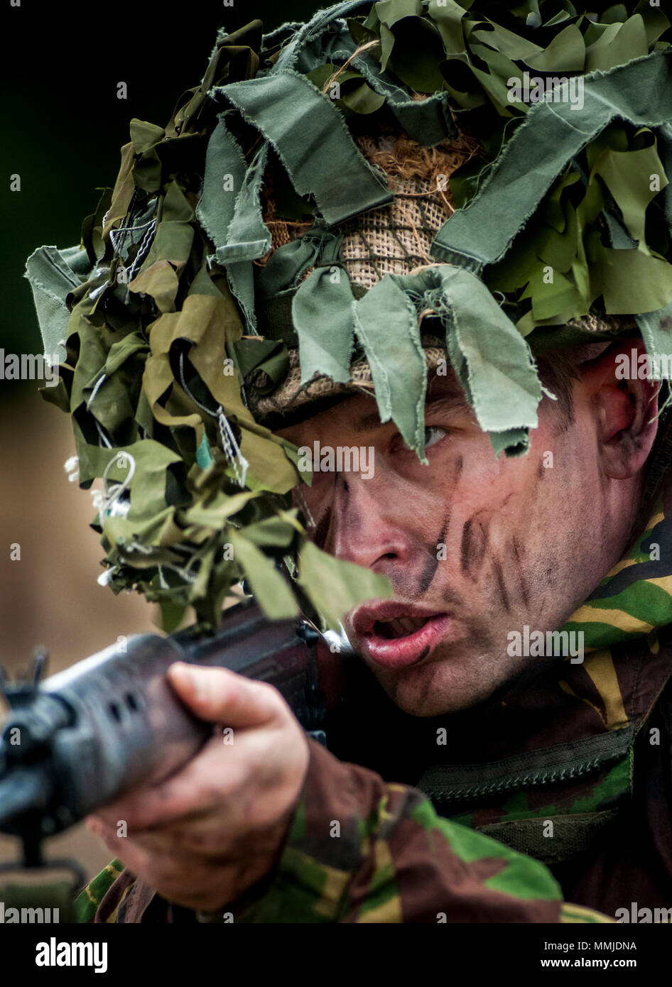 Baor Stock Photos & Baor Stock Images - Alamy