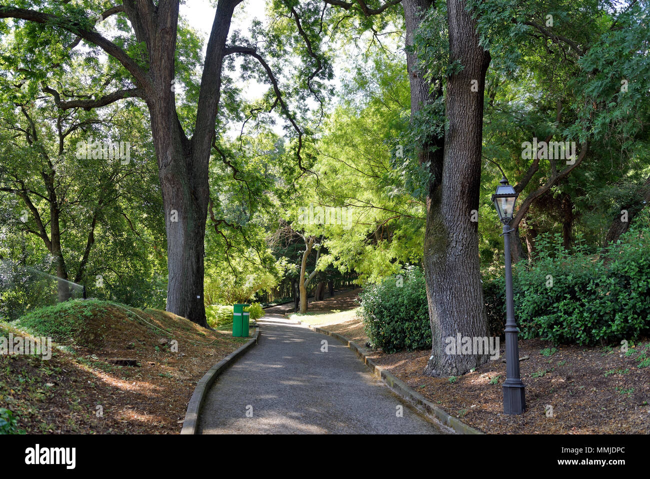 Tree lined leafy path, Orto Botanico di Roma or Rome's Botanical Garden ...
