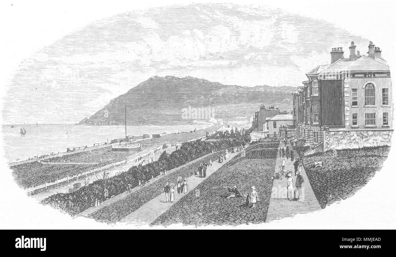 IRELAND. Esplanade & Bray head 1888 old antique vintage print picture ...