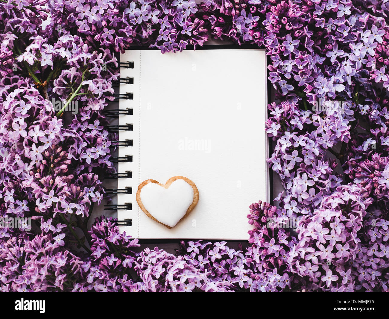 Blank page for Your inscription Stock Photo - Alamy