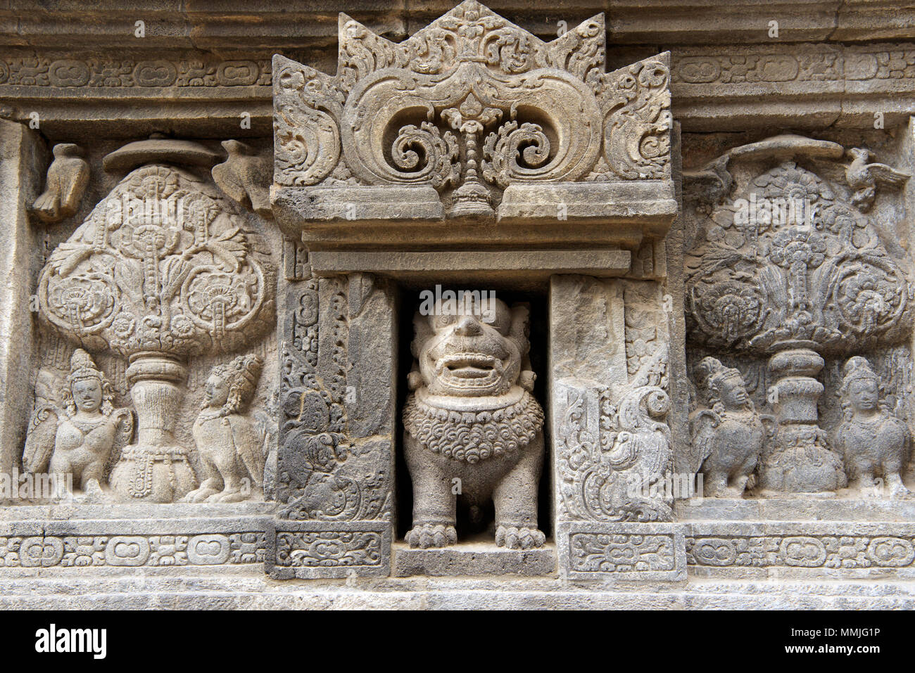 Kalpataru hi-res stock photography and images - Alamy