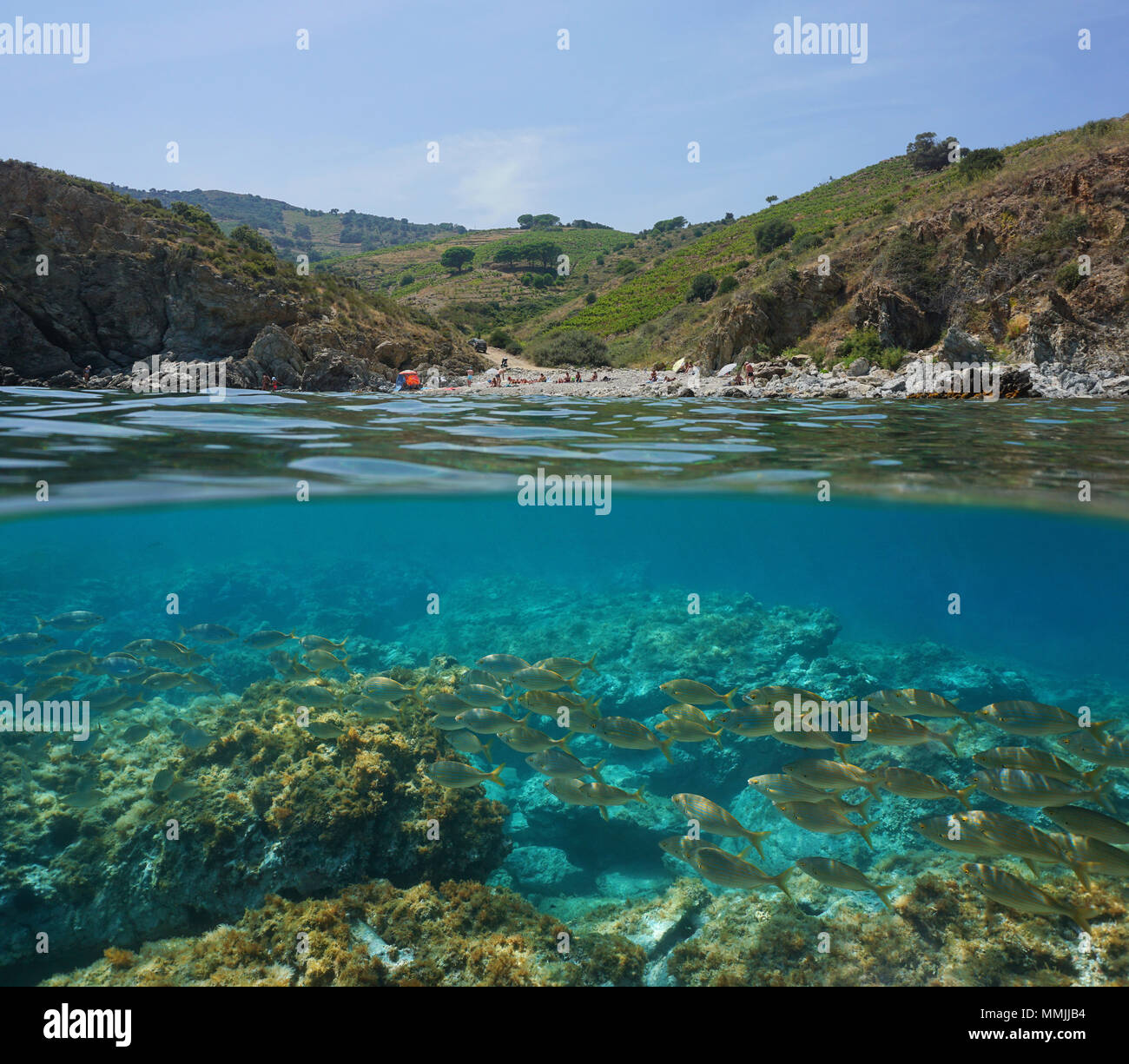 Pebble beach reserve hi-res stock photography and images - Alamy