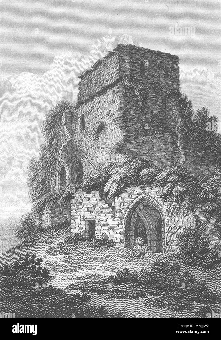 GOODRICH CASTLE. Lady's Tower, Herefordshire 1808 old antique print ...