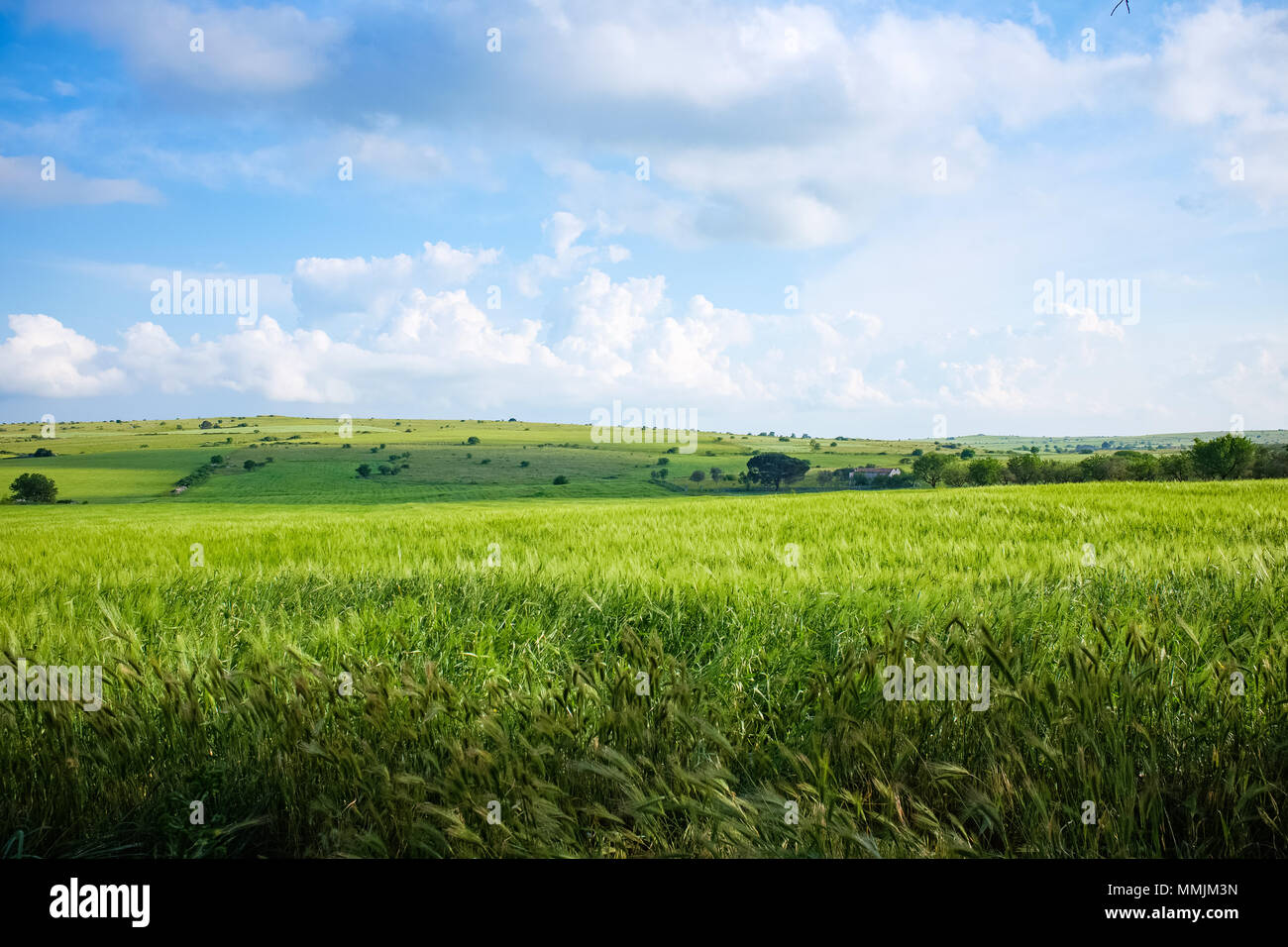 Landscape of Apulian countryside in the springtime. Italy Stock Photo ...