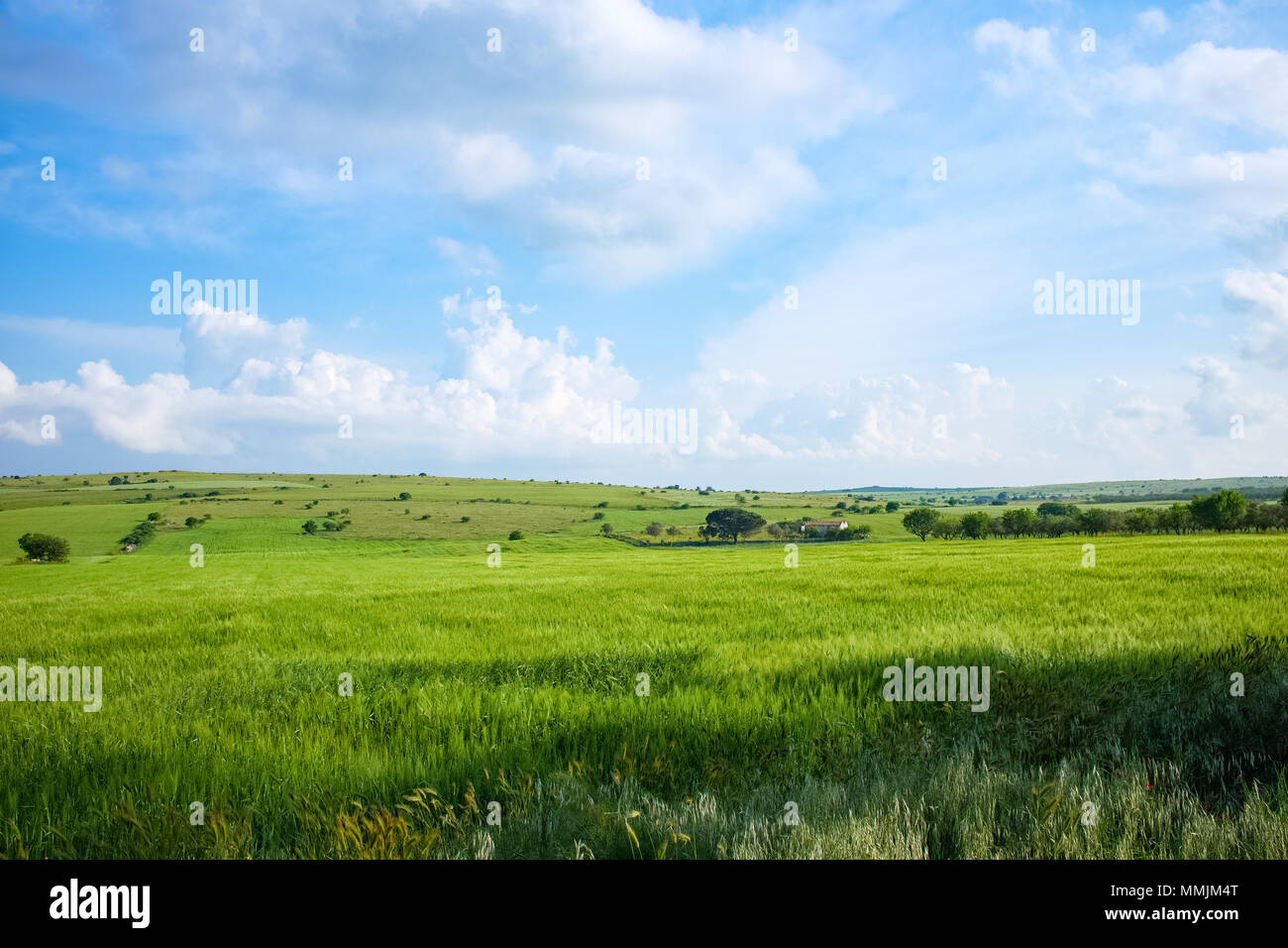 Landscape of Apulian countryside in the springtime. Italy Stock Photo ...