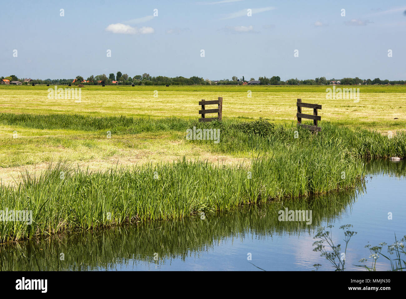 Typical wide open dutch landscape with wooden fence, green grass, blue ...