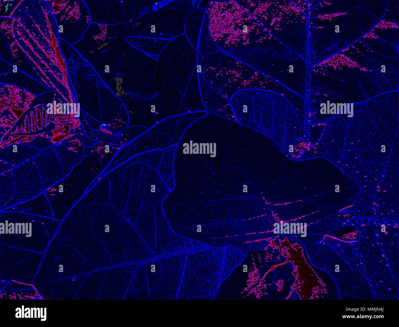 technology friendly environment concept Stock Photo - Alamy