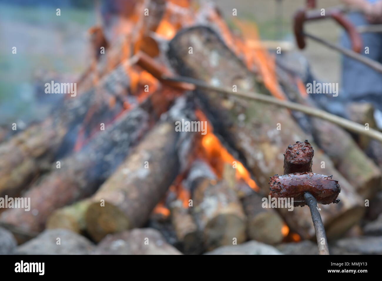 Large log on fire with flames and grill sausages over forest fireplace ...