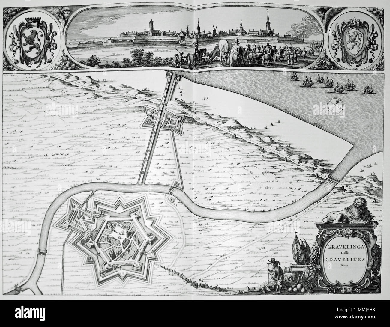 Flandria illustrata hi-res stock photography and images - Alamy