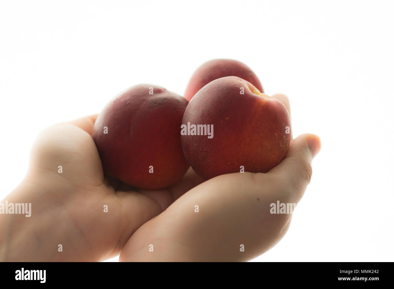 Peach in hand hi-res stock photography and images - Alamy