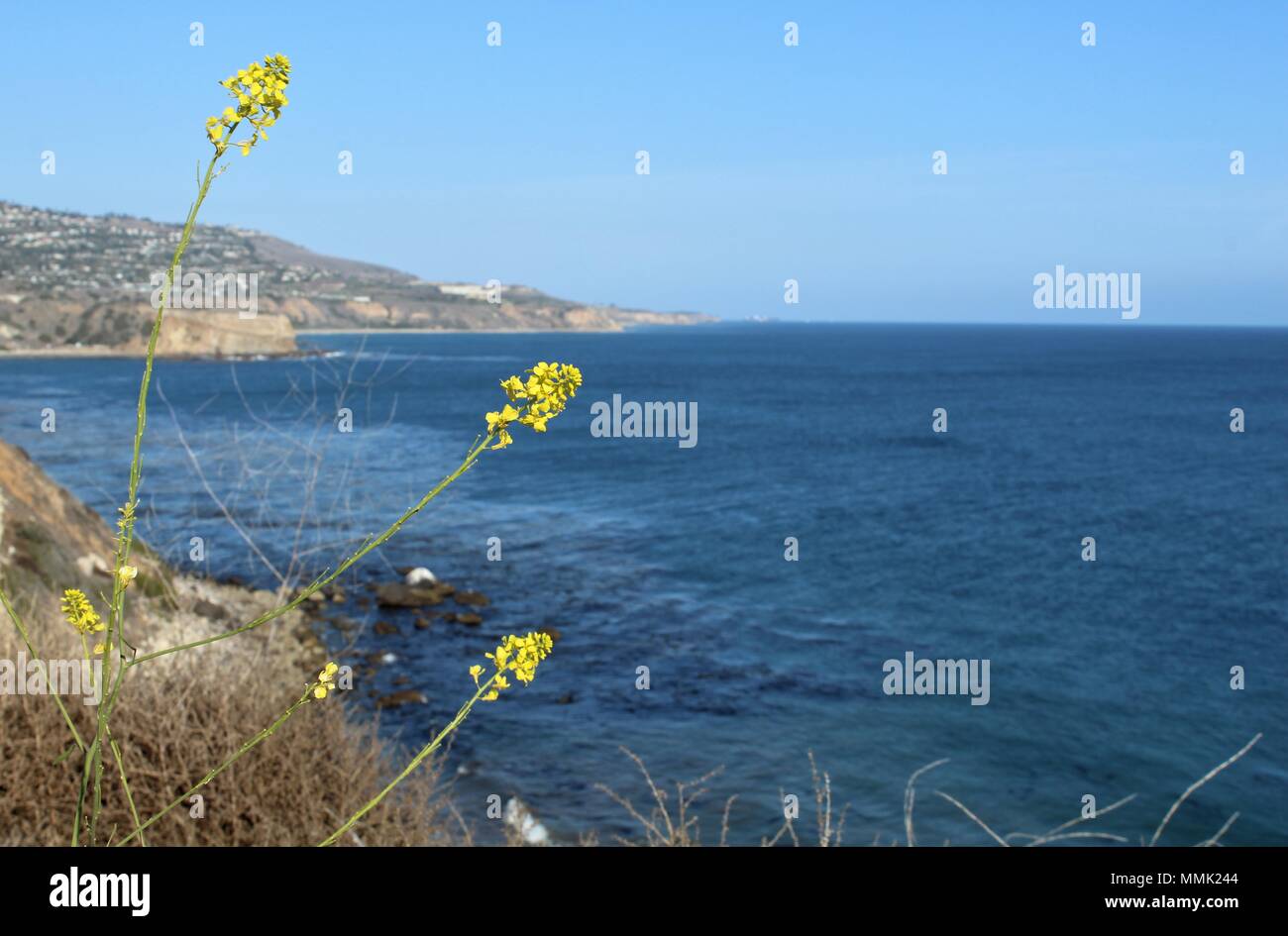 Palos verdes peninsula hi-res stock photography and images - Alamy