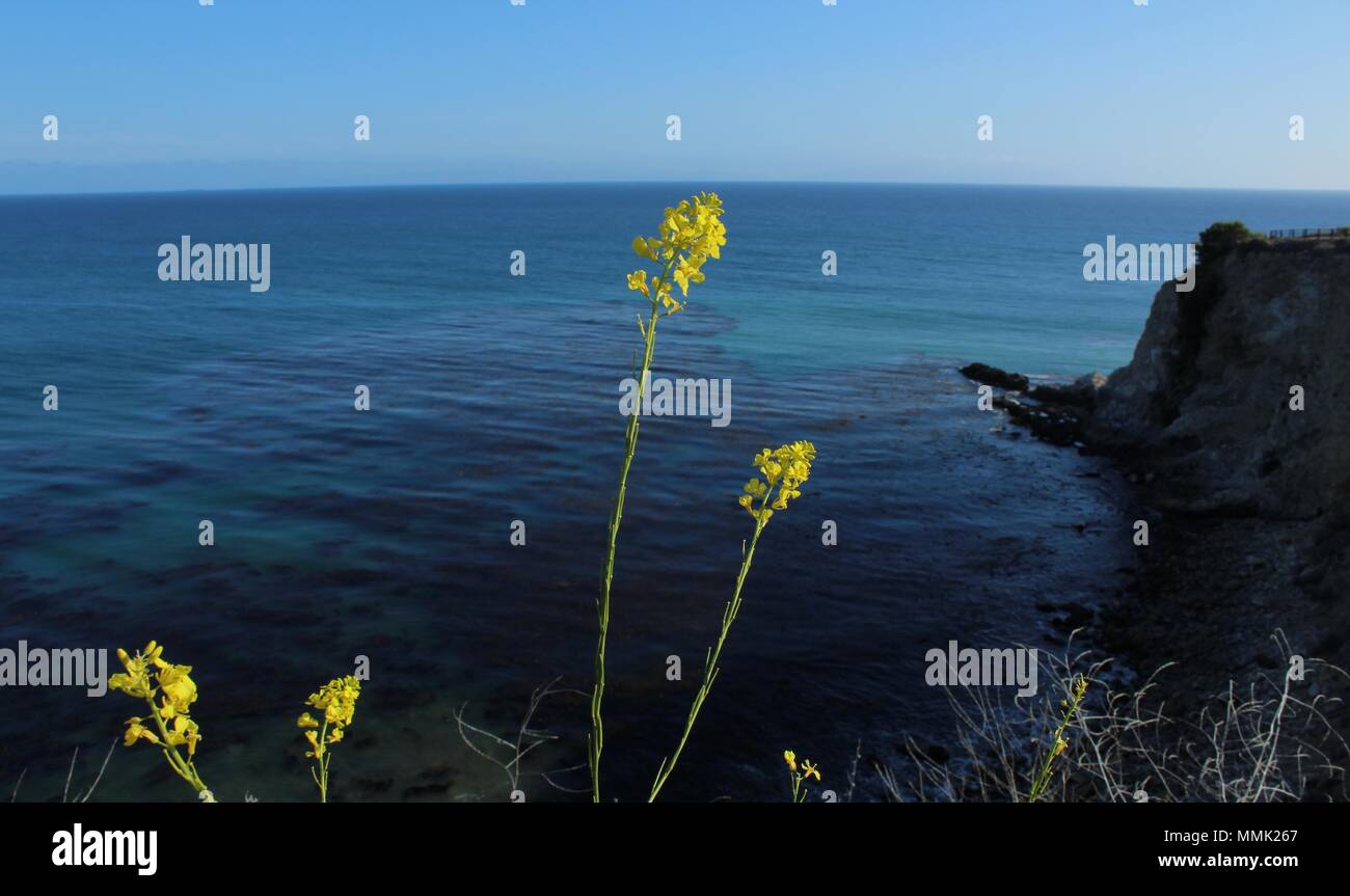 Los angeles south park hi-res stock photography and images - Alamy