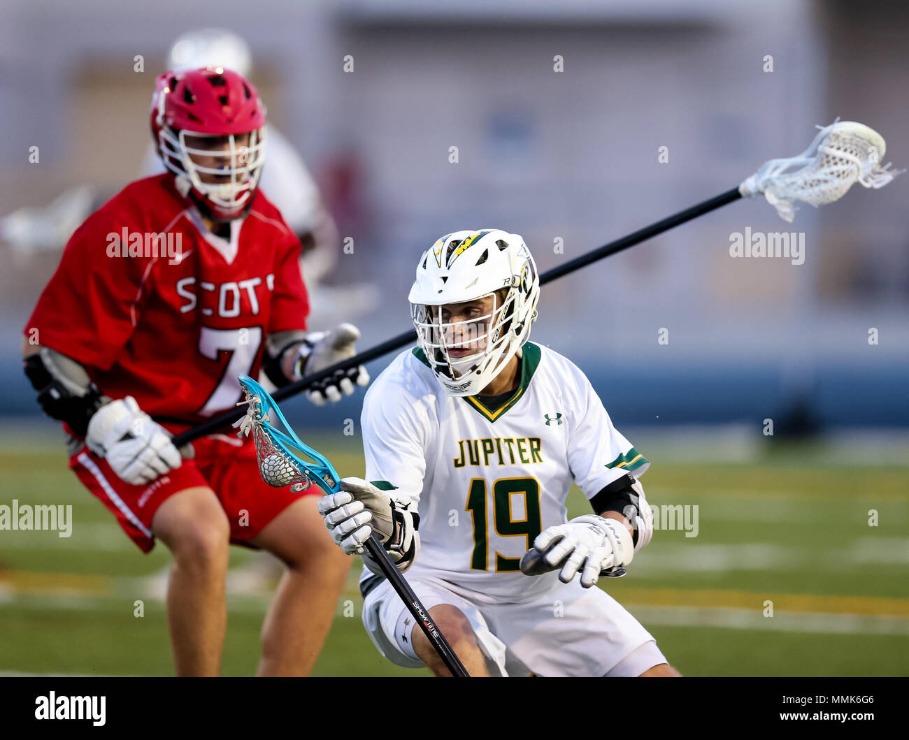 Radice hi-res stock photography and images - Alamy