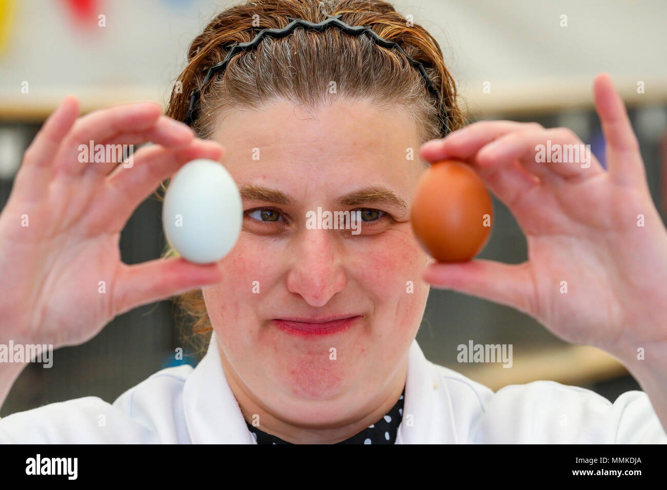 Judging eggs hi-res stock photography and images - Alamy