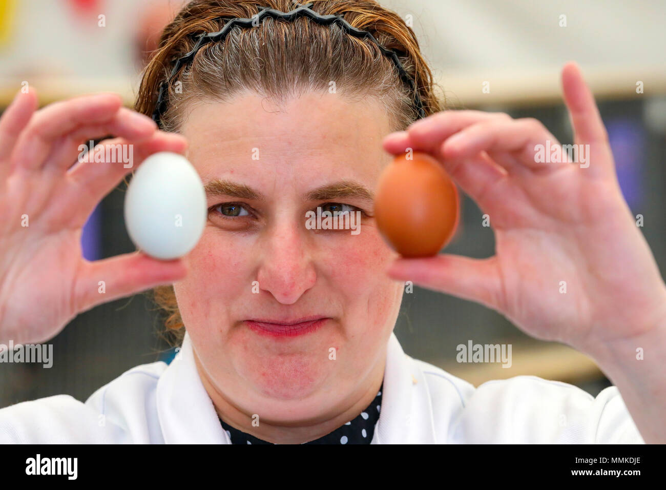 Judging eggs hi-res stock photography and images - Alamy