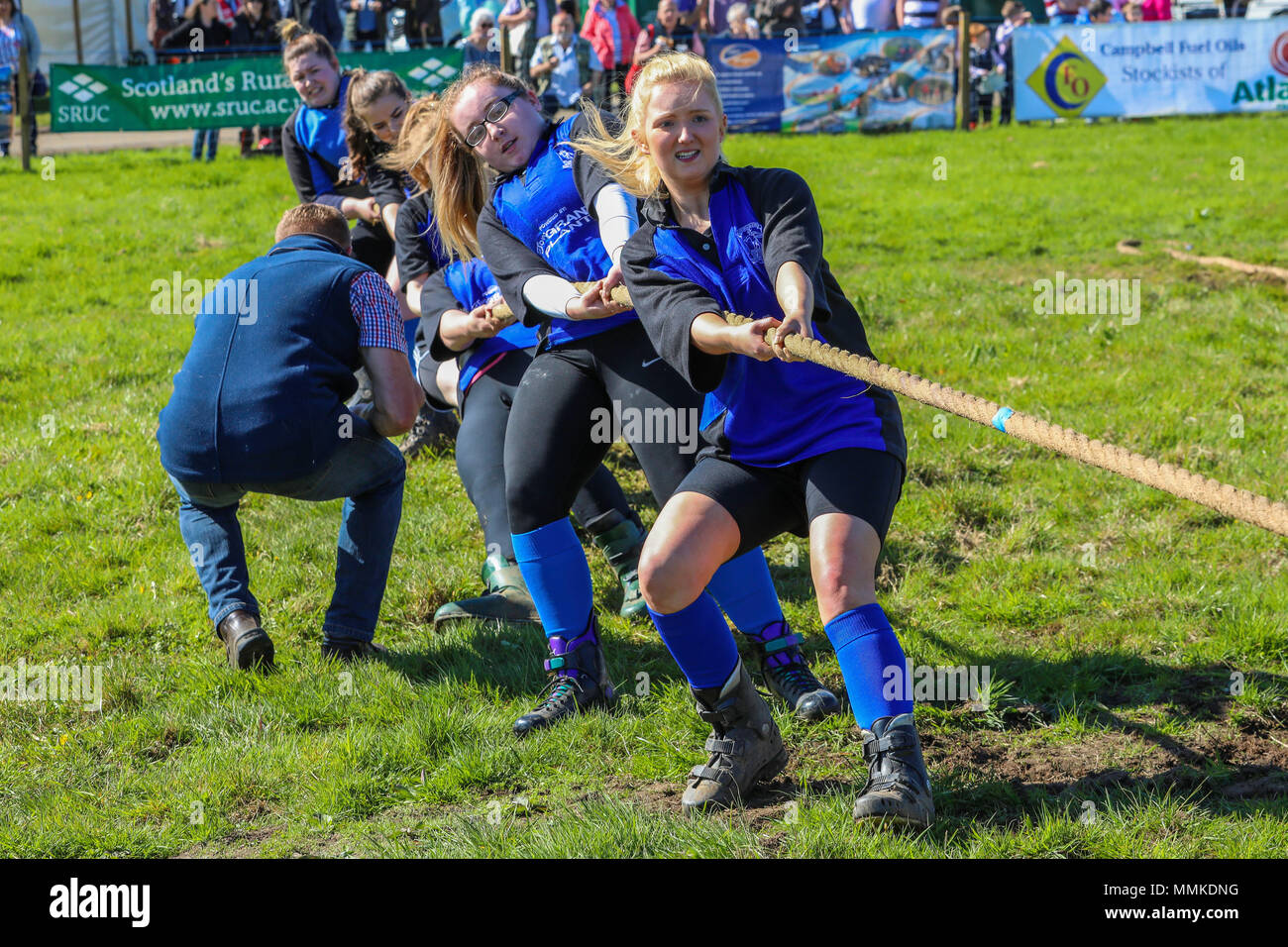 Teamwork Competition Farming High Resolution Stock Photography and ...