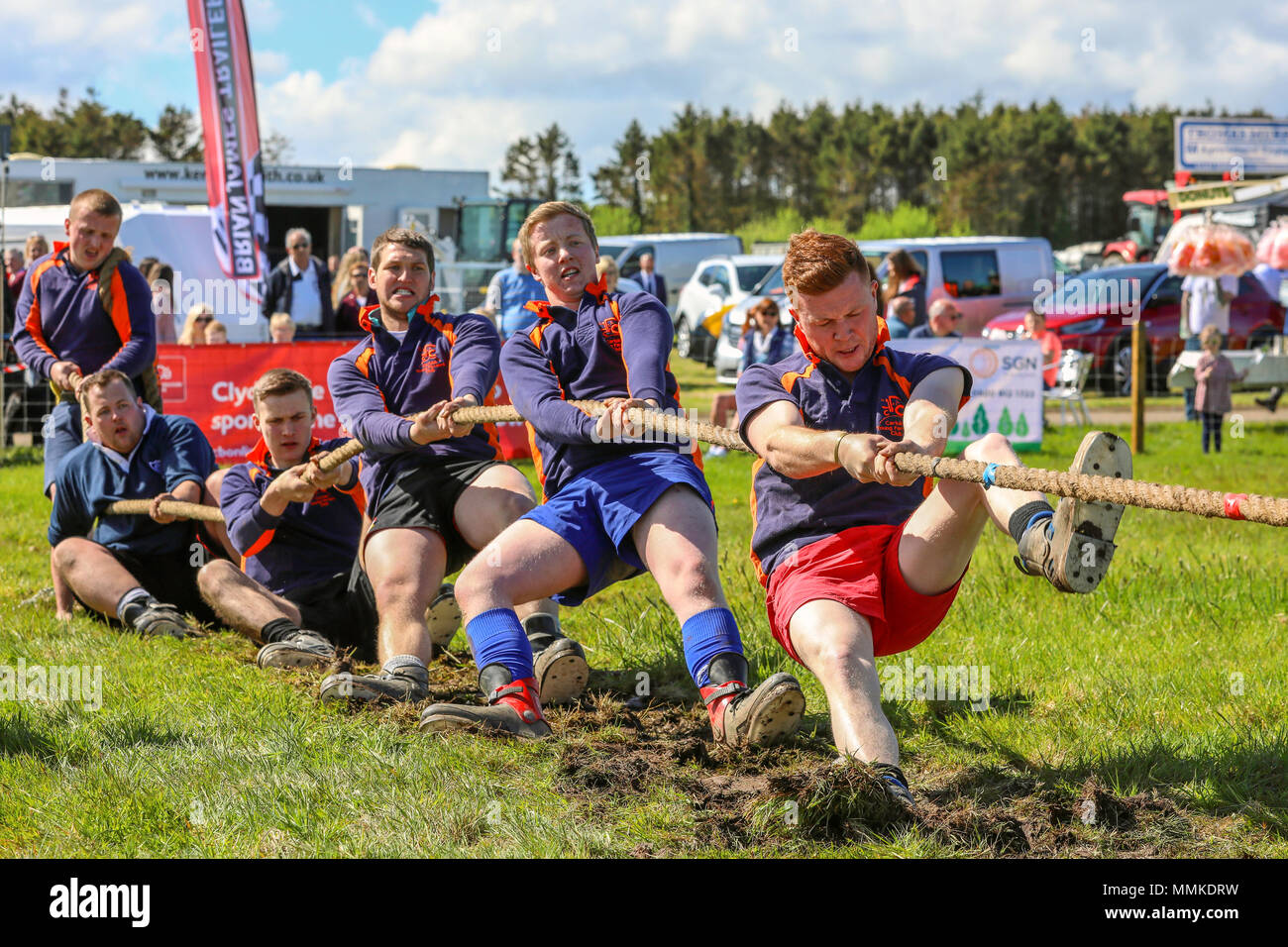 Teamwork competition farming hi-res stock photography and images - Alamy