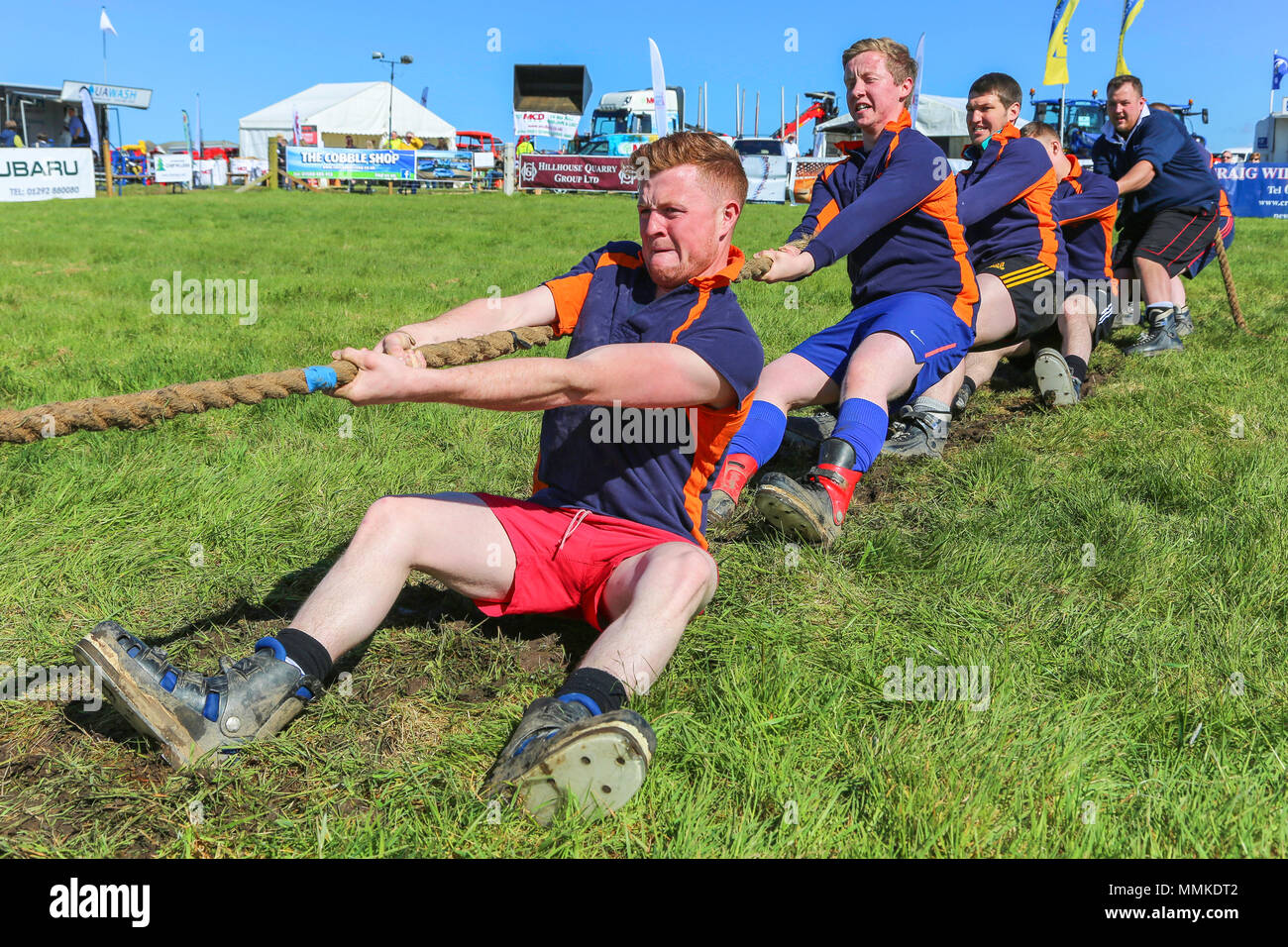 Teamwork competition farming hi-res stock photography and images - Alamy