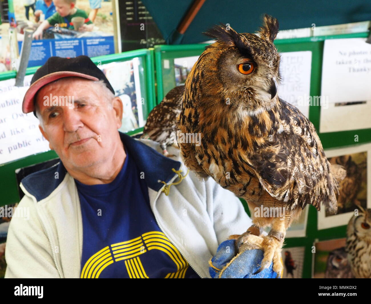 Owls 2018 hi-res stock photography and images - Alamy