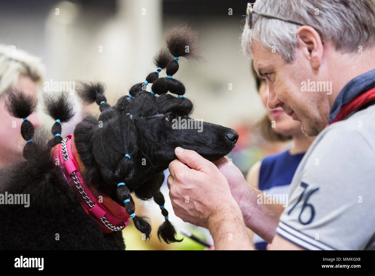 Grooming germany hi-res stock photography and images - Alamy
