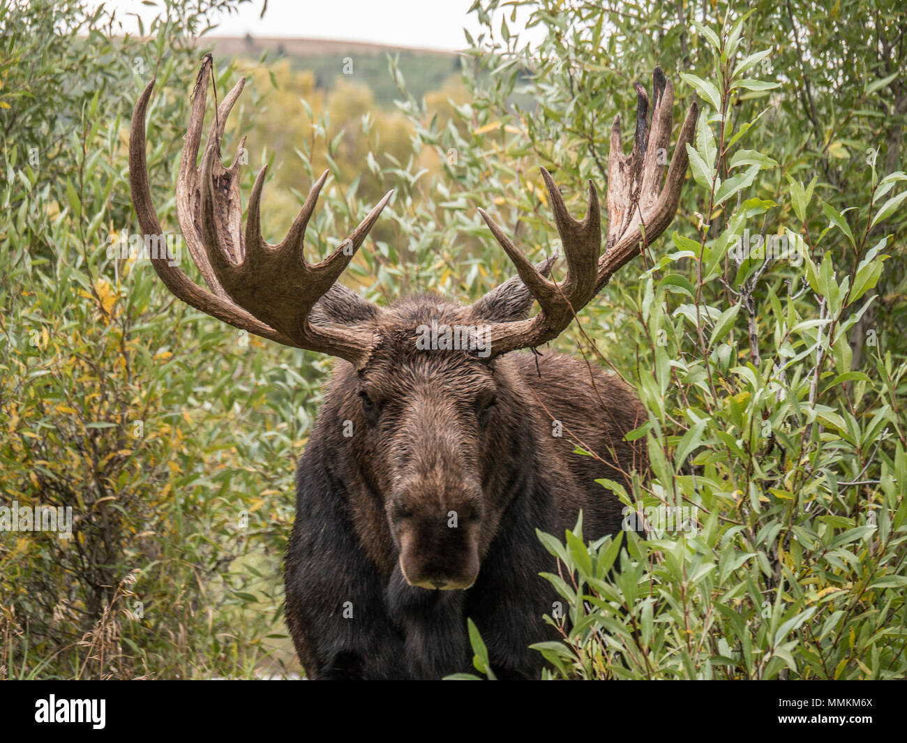 Full rack hi-res stock photography and images - Alamy