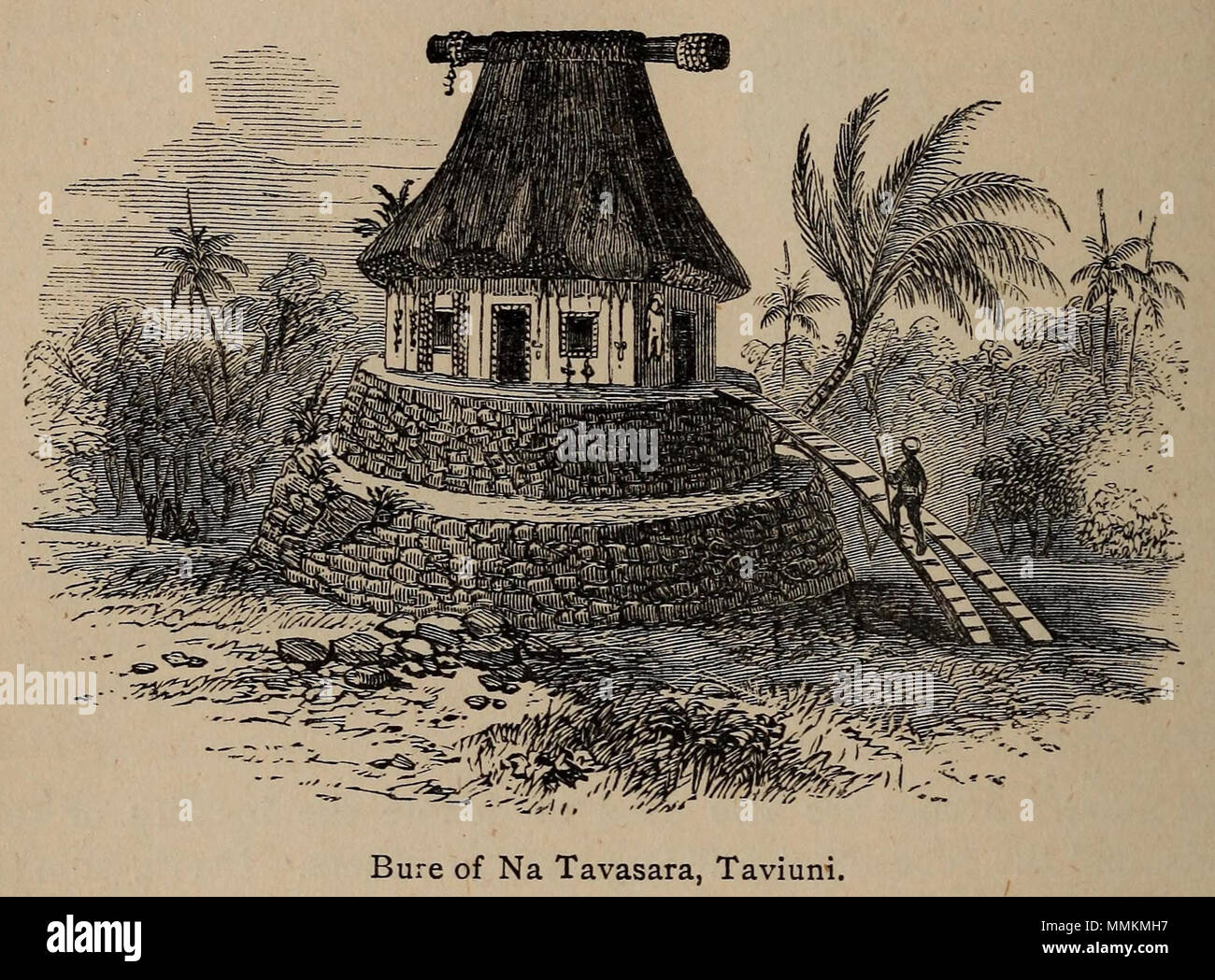 Tavasara hi-res stock photography and images - Alamy