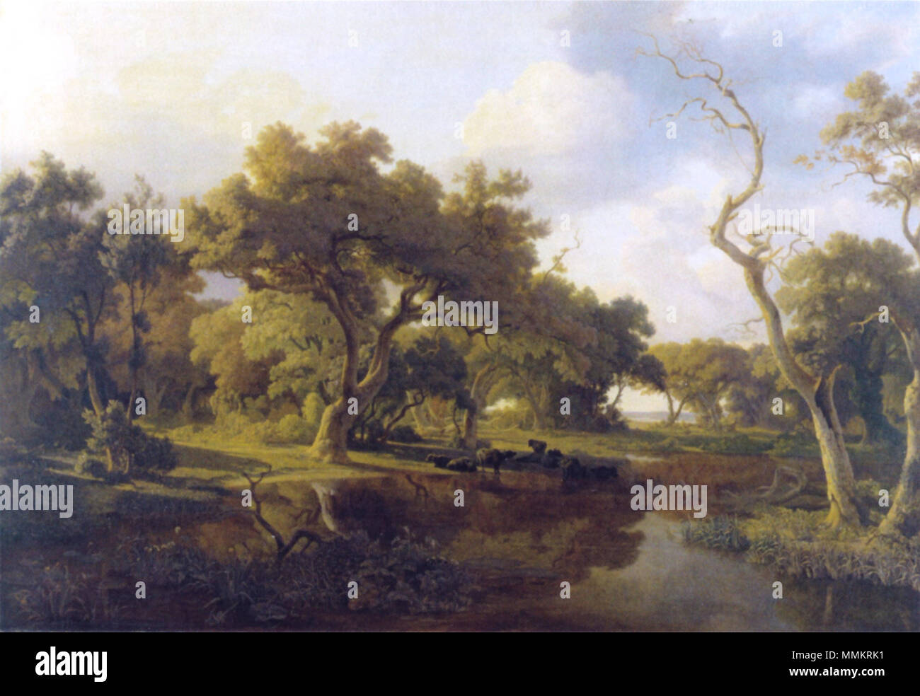 Pontine marshes italy hi-res stock photography and images - Alamy