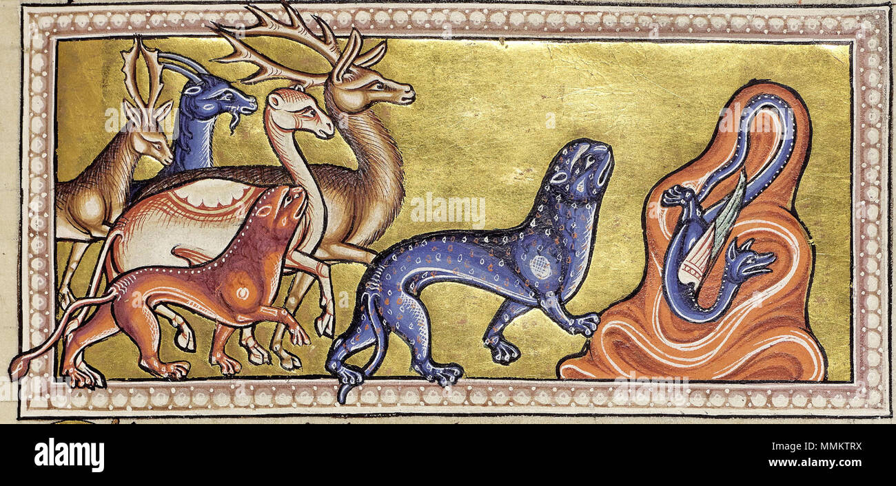 Folio 9 recto of the Aberdeen Bestiary, the Panther (Detail). 12th ...