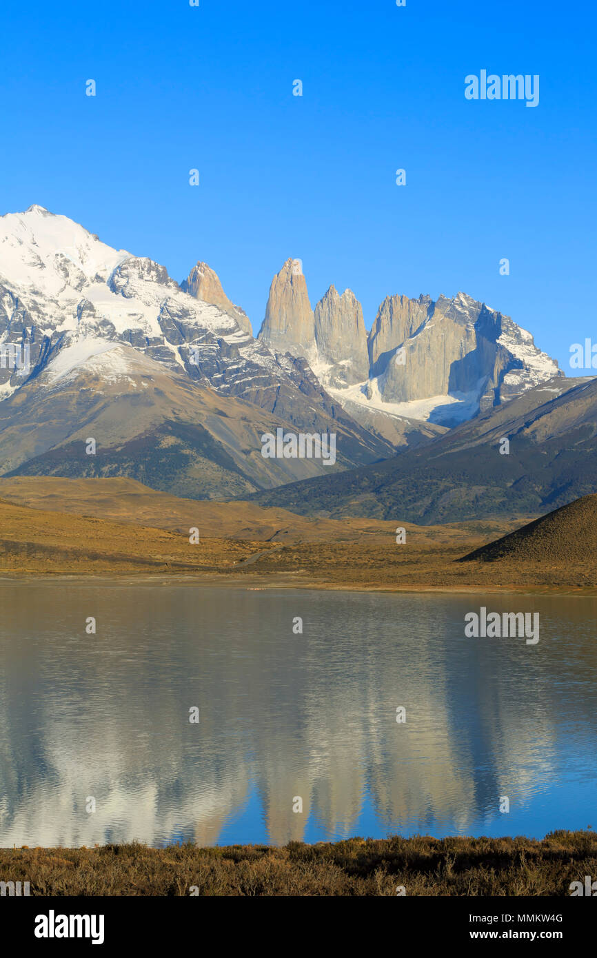 Laguna Amarga and the Torres del Paine, Patagonia, Chile Stock Photo ...